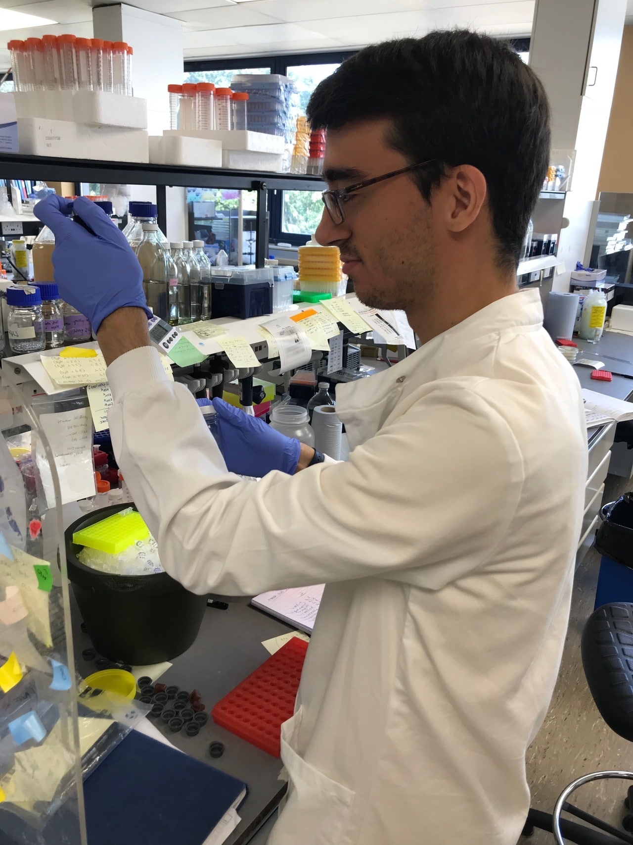 The Sequencing of the Octoploid Strawberry Genome Uncovers its ...