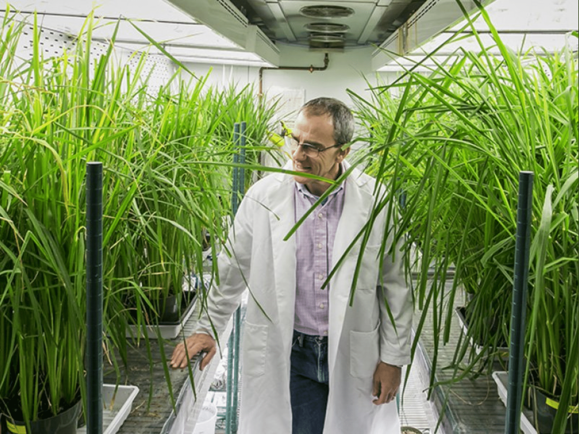 A TAL Tale: PacBio Sequencing Helps Unravel Mechanisms of Plant ...