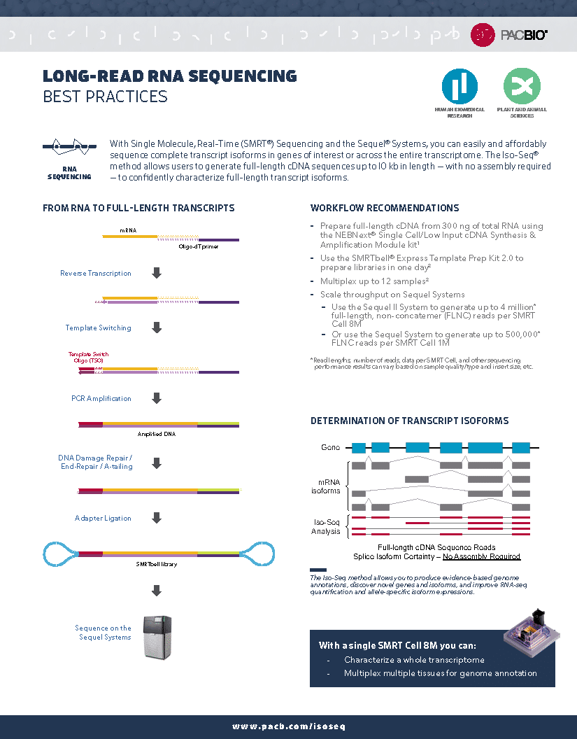 Human RNA Sequencing - PacBio
