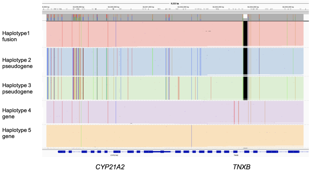 PureTarget repeat expansion and carrier panels enable high-throughput ...