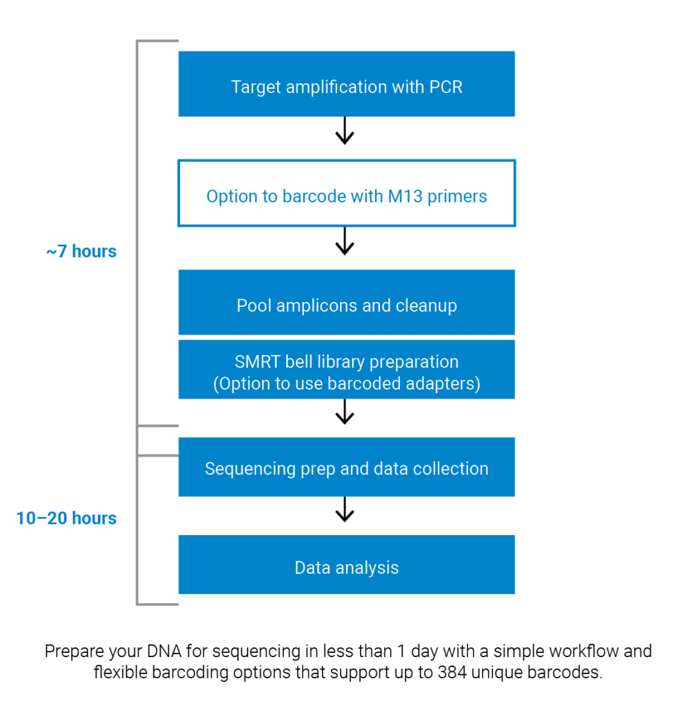Get more for less — Single-gene testing with HiFi sequencing - PacBio