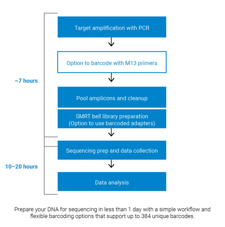 Get more for less — Single-gene testing with HiFi sequencing - PacBio