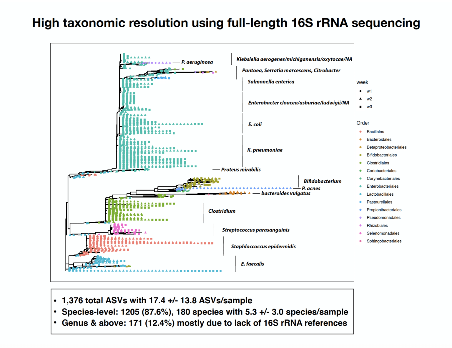 A HiFi View: Sequencing the Gut Microbiome with Highly Accurate Long ...