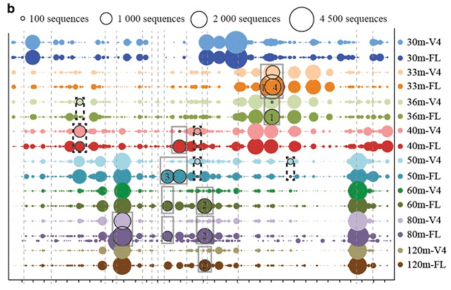 Easy and Affordable: Full-Length 16S HiFi Sequencing with PacBio ...