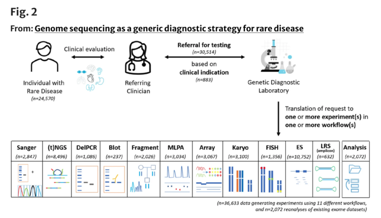 How HiFi sequencing lays the groundwork for accelerating rare disease diagnostics in the clinic ...