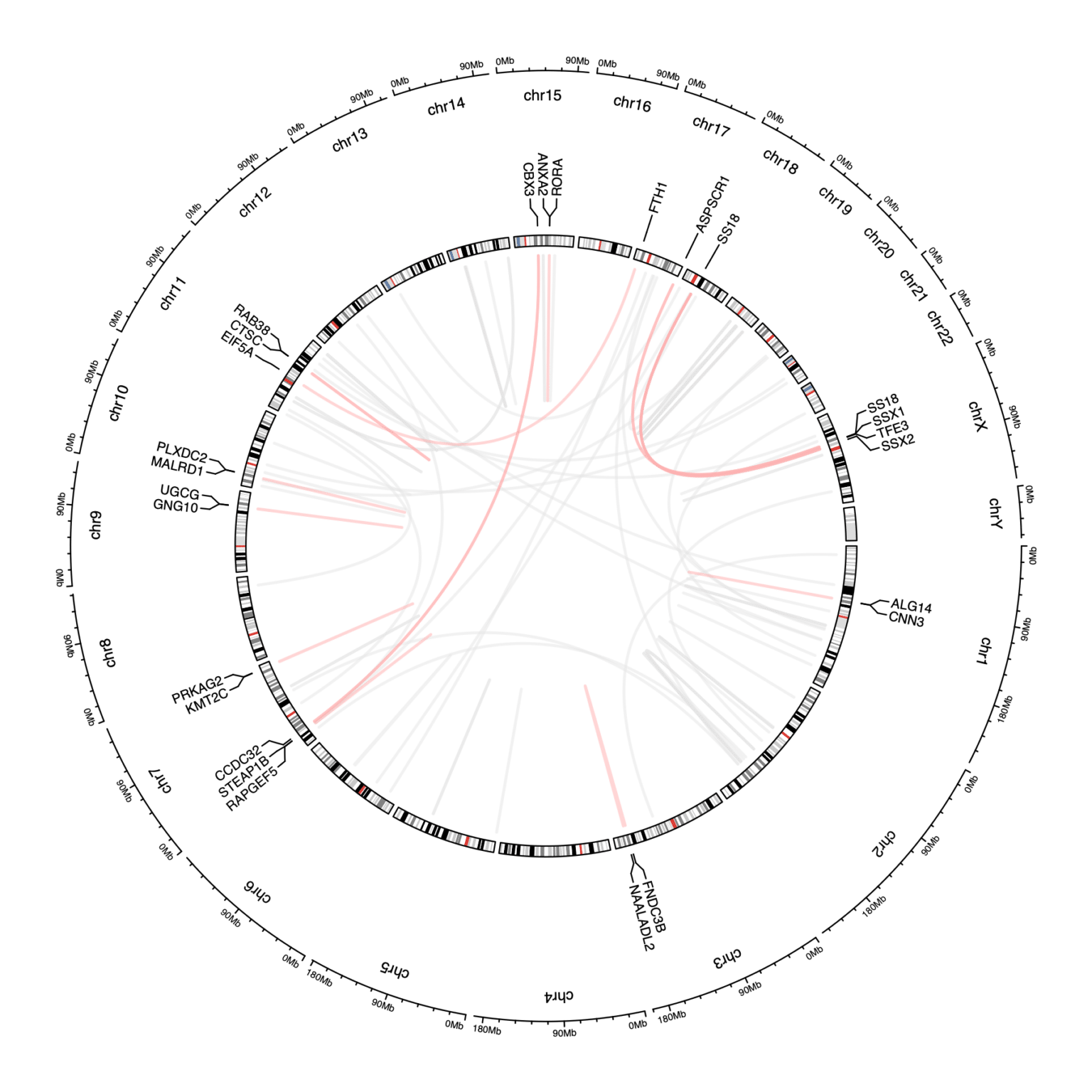 The power of accurate long-read RNA sequencing for fusion gene ...
