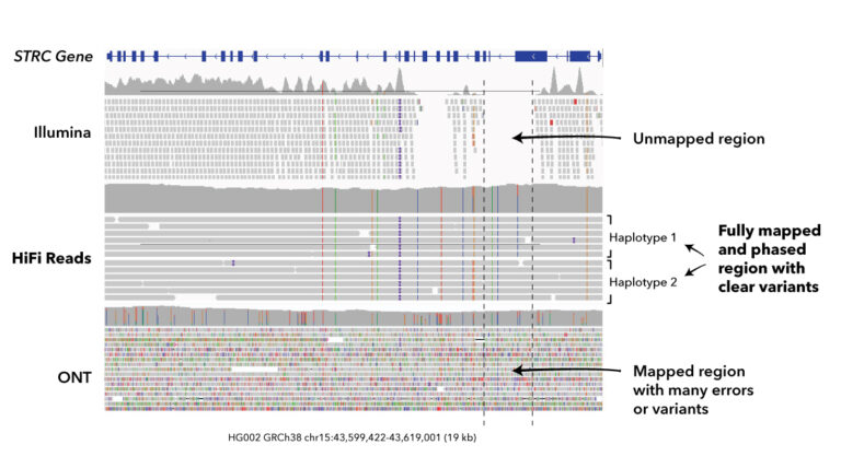 Sequencing 101: Understanding Accuracy in DNA Sequencing - PacBio