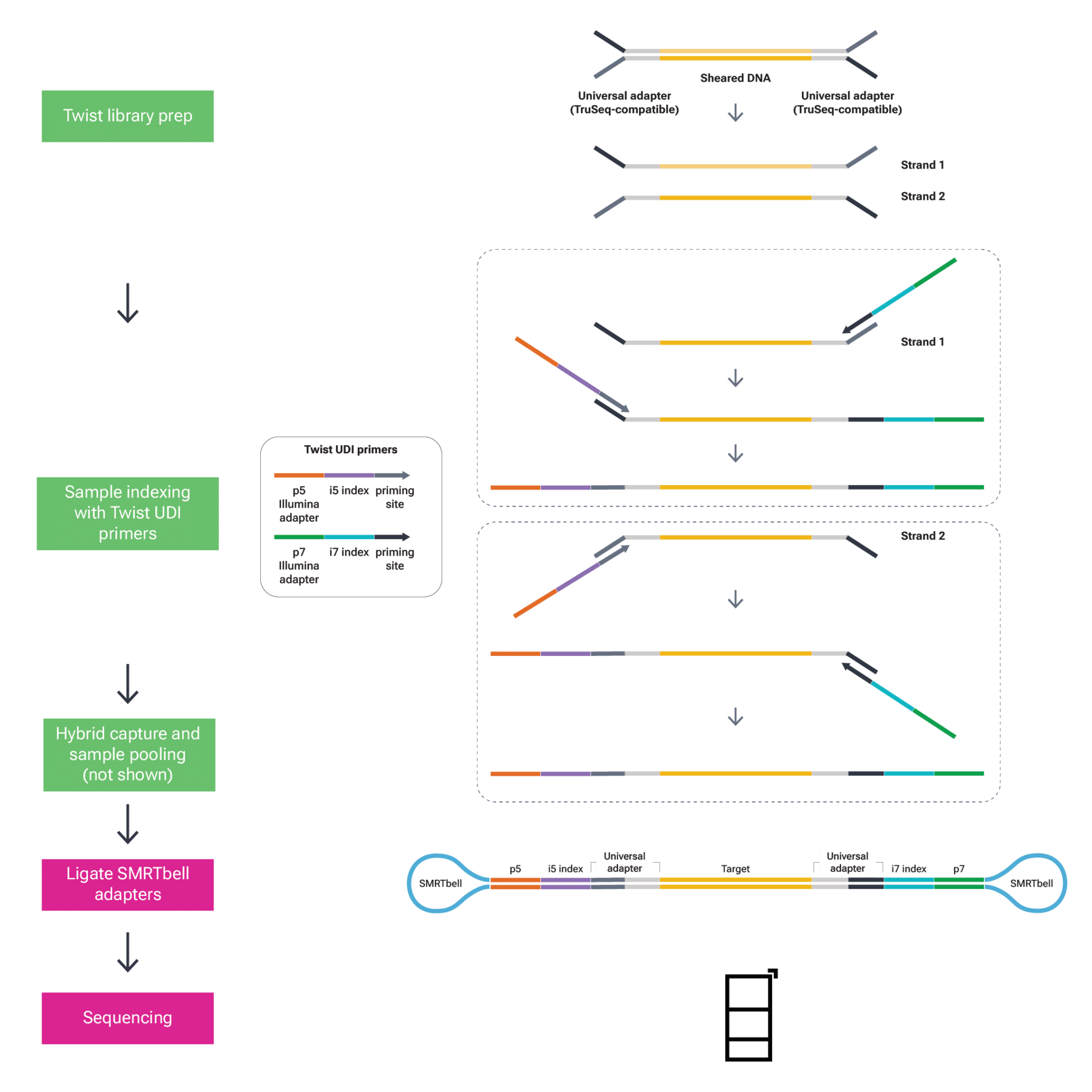 Decrease your cost-per-sample with multiplexing - PacBio