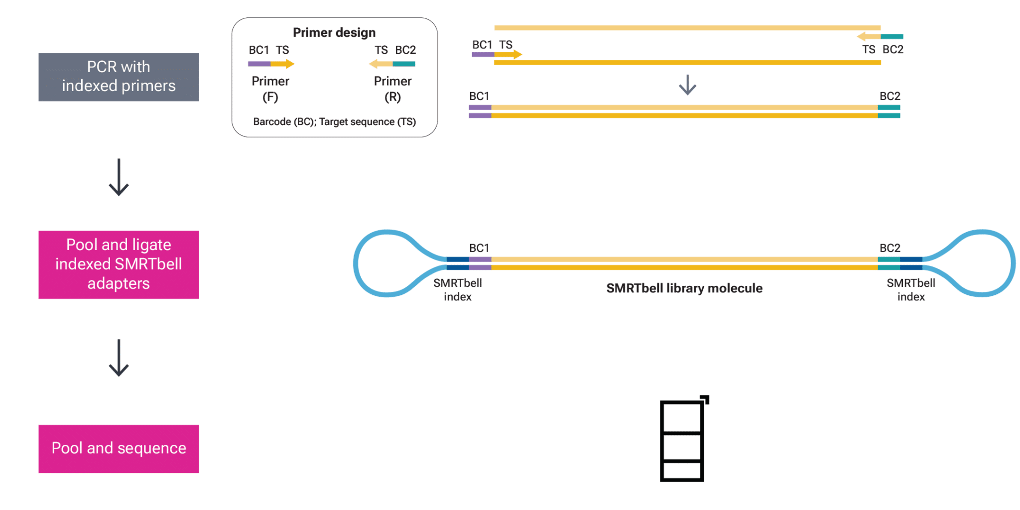 Decrease your cost-per-sample with multiplexing - PacBio