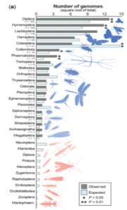 How far we've come part one: Insect genomics - PacBio