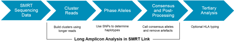 Targeted Sequencing - PacBio