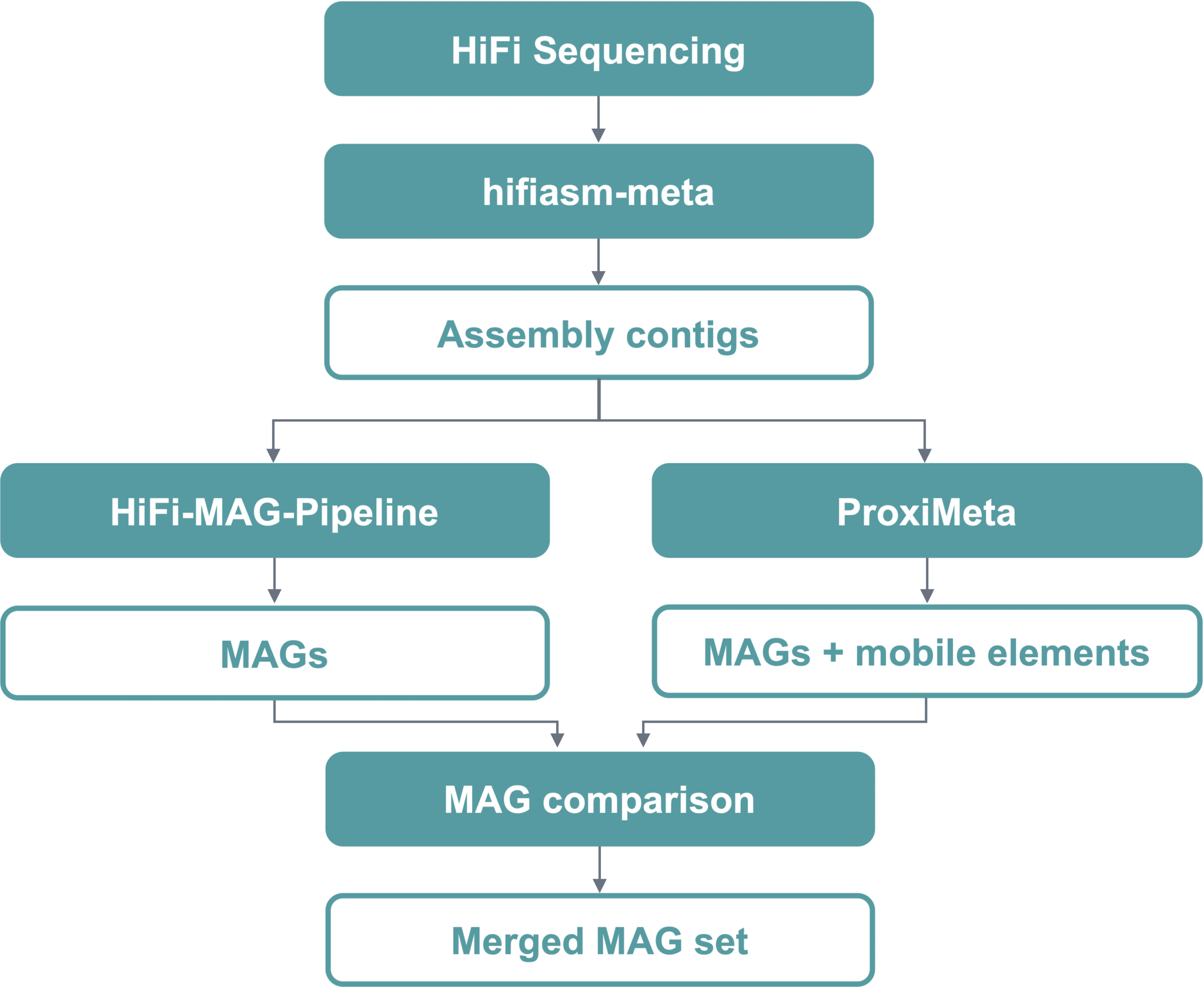 Revio metagenomics + Kinnex 16S data release demonstrate futuristic ...