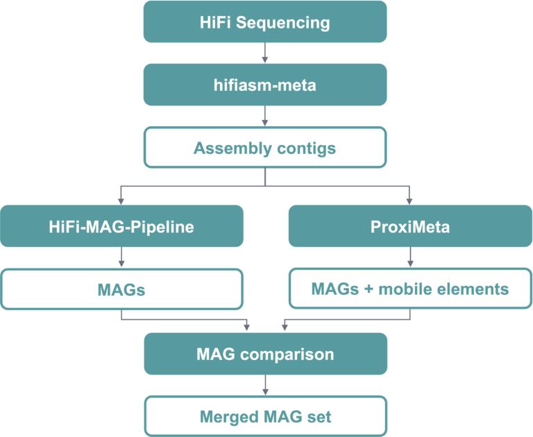 Revio metagenomics + Kinnex 16S data release demonstrate futuristic microbiome capabilities - PacBio