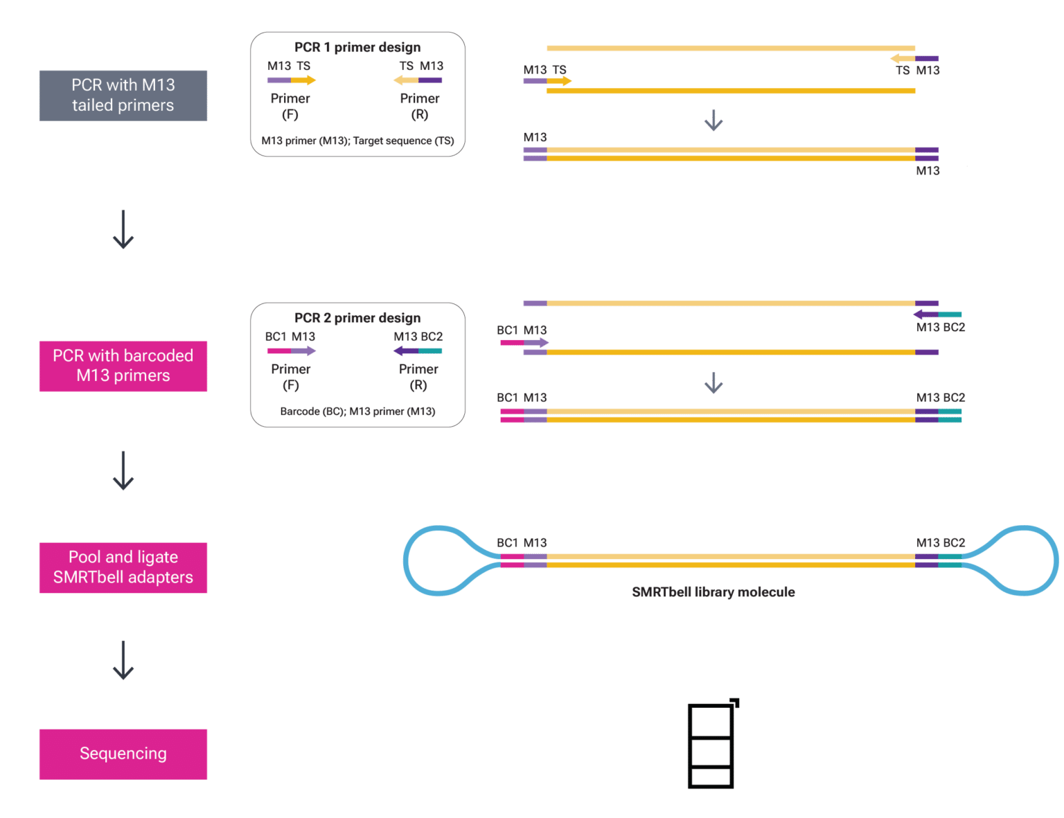 Decrease your cost-per-sample with multiplexing - PacBio
