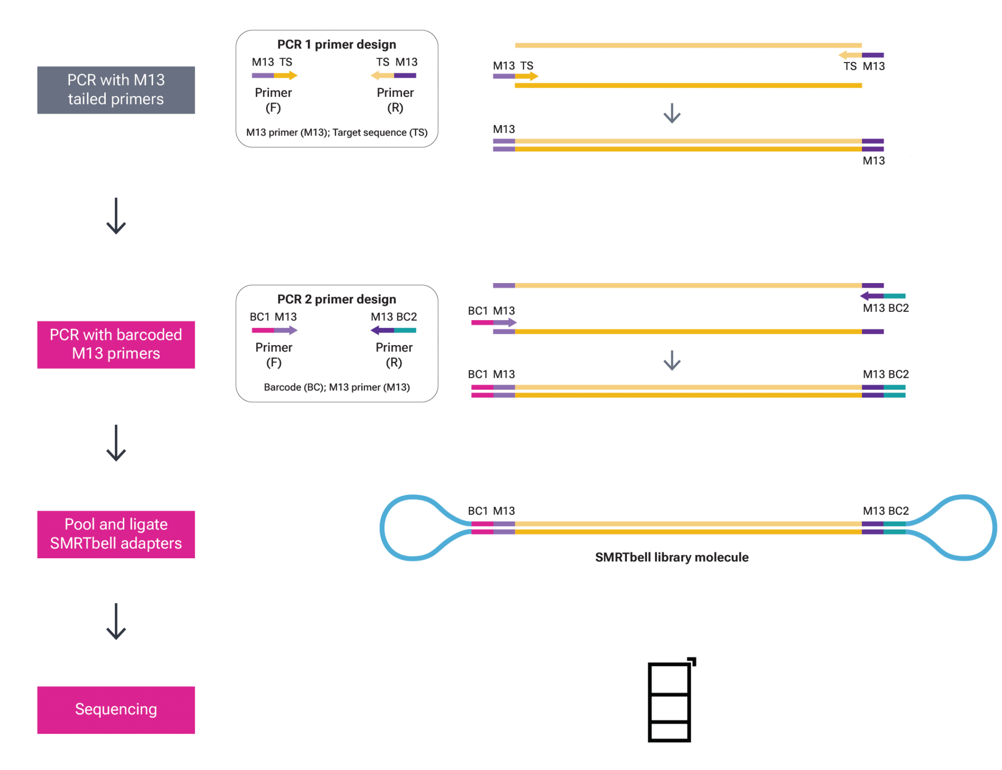 Decrease your cost-per-sample with multiplexing - PacBio