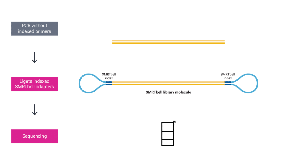 Decrease your cost-per-sample with multiplexing - PacBio