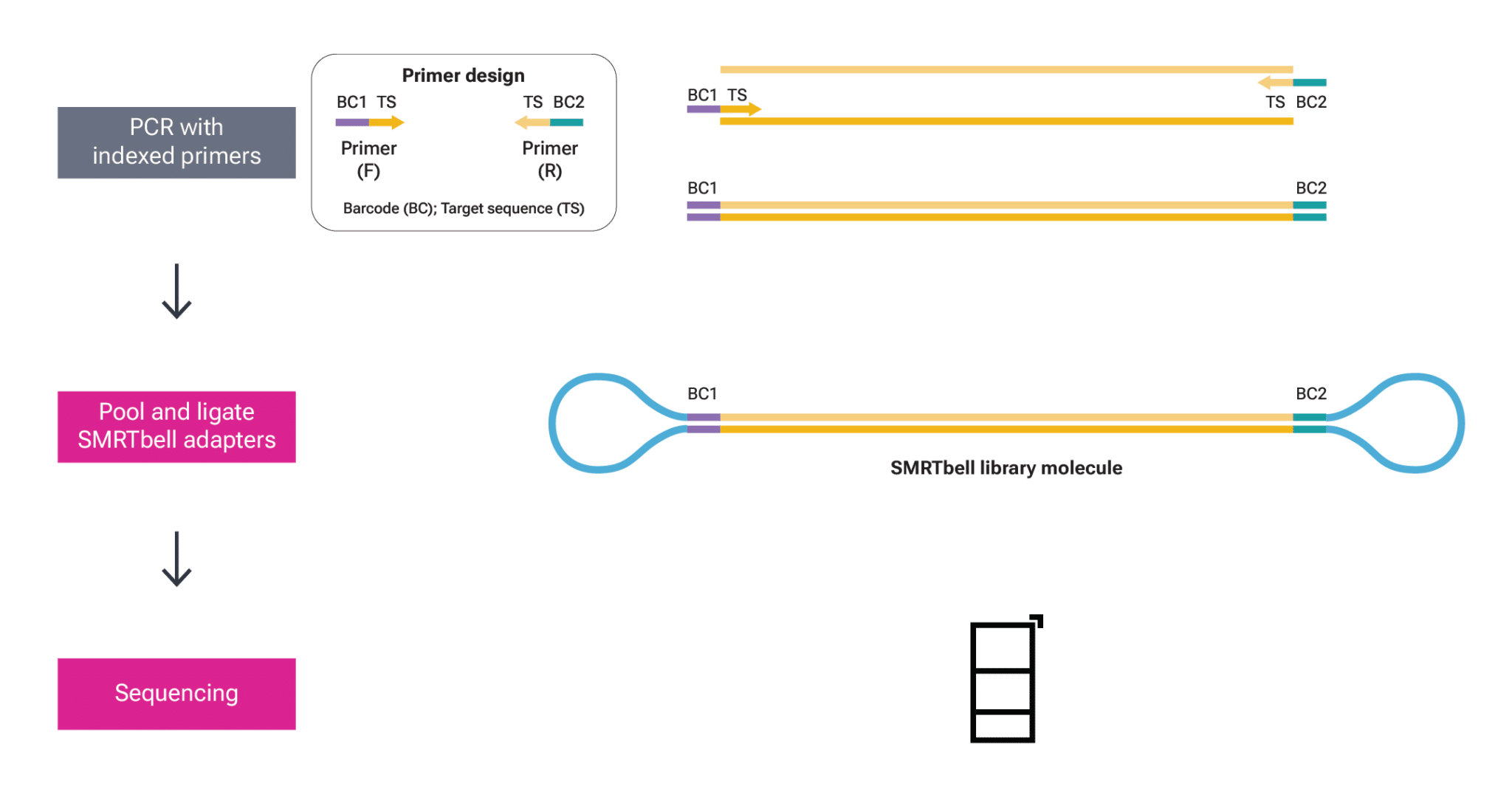Decrease your cost-per-sample with multiplexing - PacBio