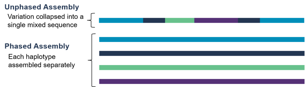 Sequencing 101: Understanding Accuracy in DNA Sequencing - PacBio