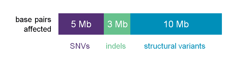 Structural Variation - PacBio