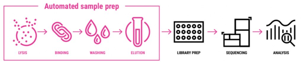 Faster and more affordable sequencing with the HiFi microbial high ...