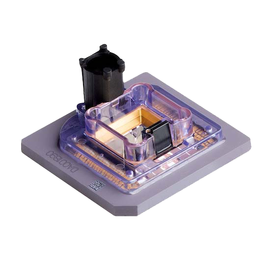 Sequencing 101: From DNA to Discovery - The Steps of SMRT Sequencing ...