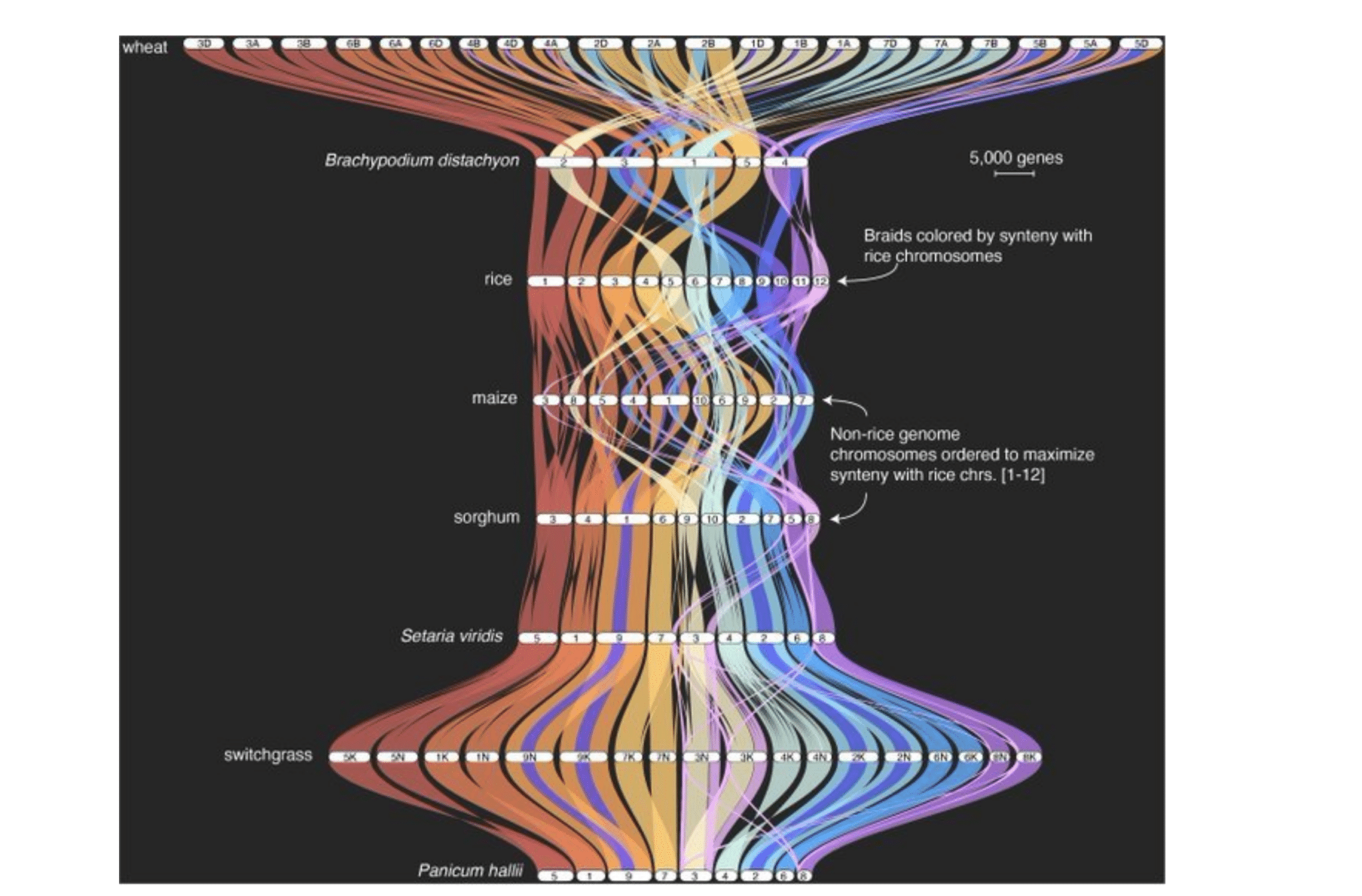 The next era of plant + animal genomics has begun - PacBio
