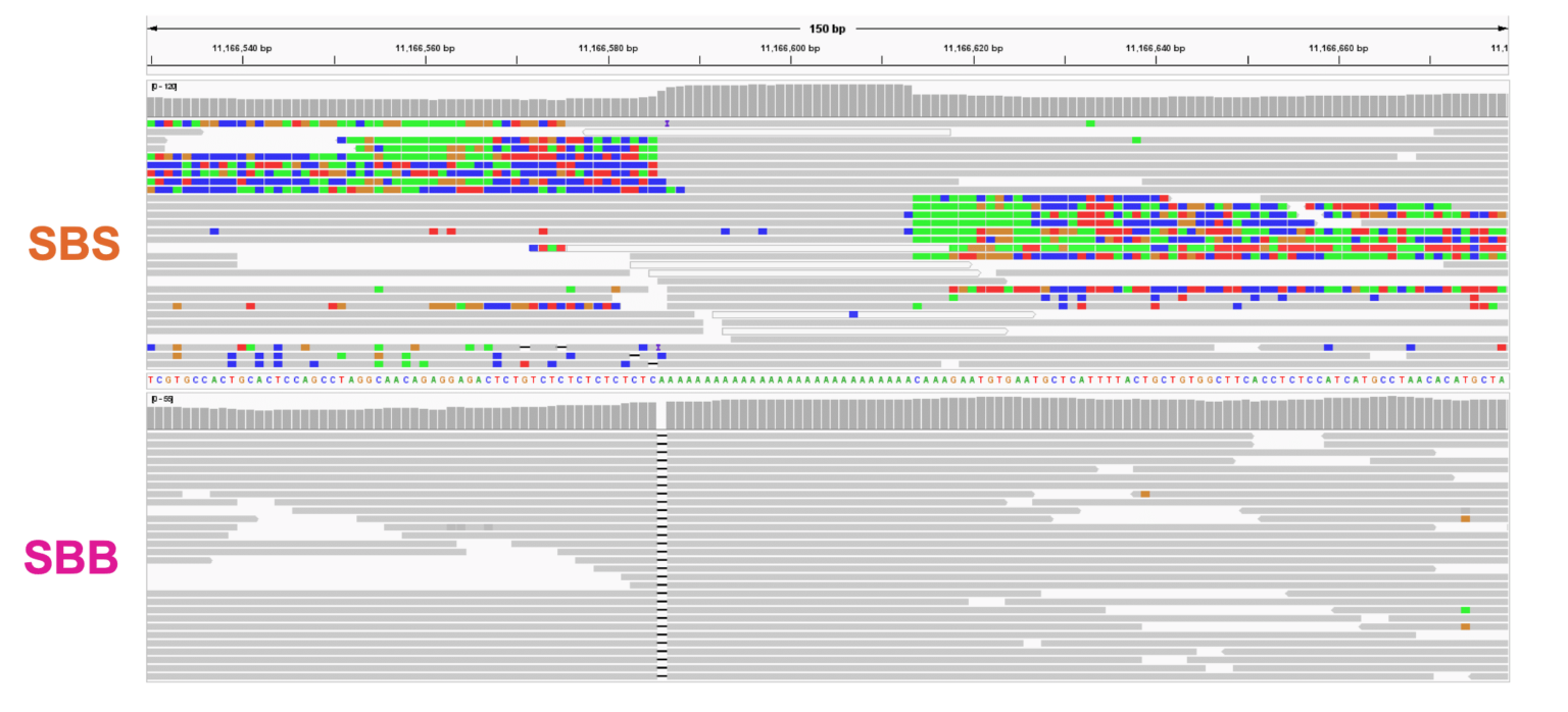 Highly accurate sequencing enables the detection of microsatellite instability associated with ...