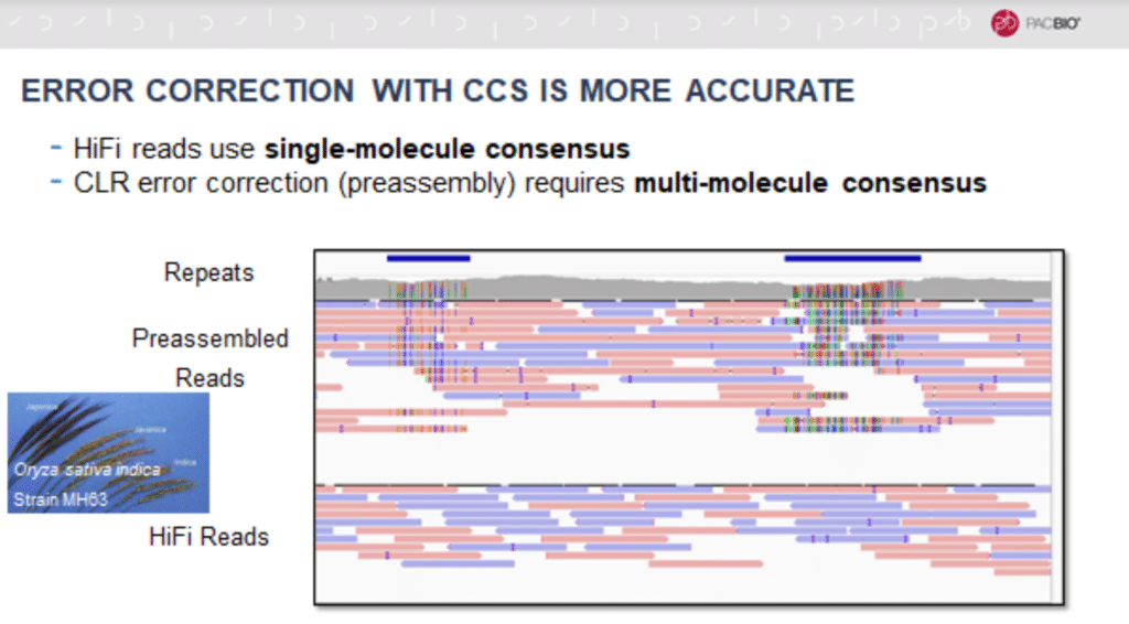 HiFi Reads Add Unparalleled Accuracy to the Long-Read Sequencing ...
