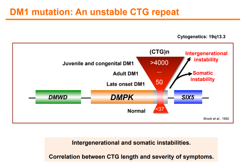 When Size Matters: Using SMRT Sequencing to Help Patients With Repeat ...