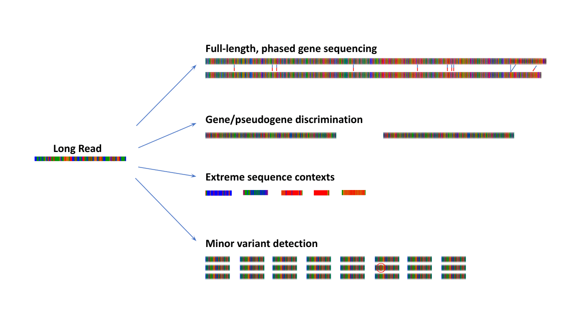 Delivering New Insights into Cancer Research: SMRT Sequencing Case ...