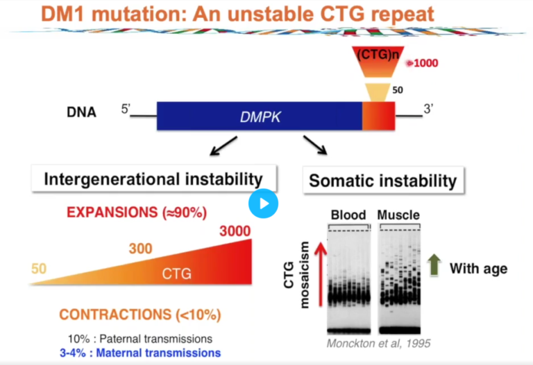 SMRT Sequencing Detects Clinically Significant Repeat Changes In ...
