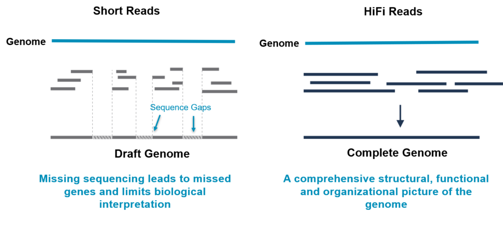 Sequencing 101: The Evolution of DNA Sequencing Tools - PacBio