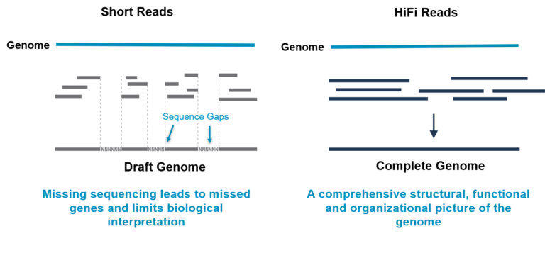 Sequencing 101 The Evolution Of Dna Sequencing Tools Pacbio