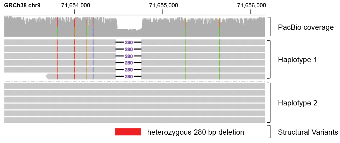 Must-Have PacBio Applications & Services: Getting the Most from SMRT ...