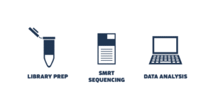 Sequencing 101: From DNA to Discovery - The Steps of SMRT Sequencing ...