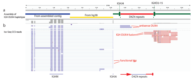 Sequencing 101: what's the value of sequencing full-length RNA ...