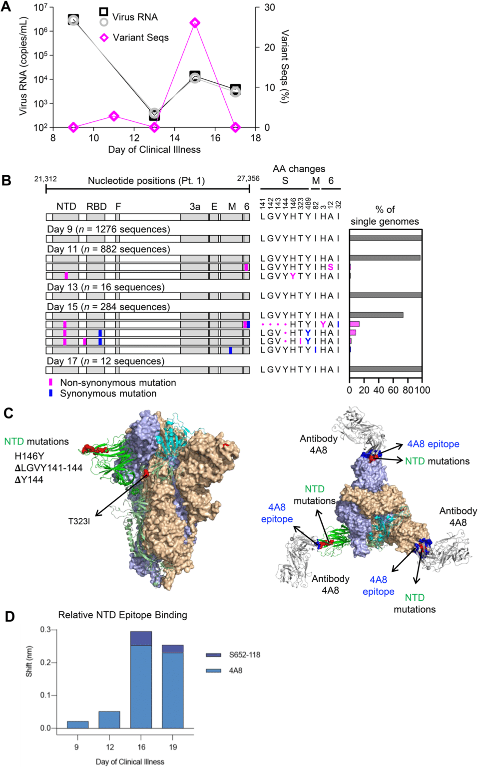 NIH Scientists Chart SARS-CoV-2 Evolution Within an Individual Over ...
