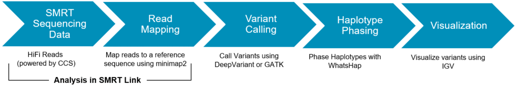 Whole Genome Sequencing - Analysis Applications - PacBio