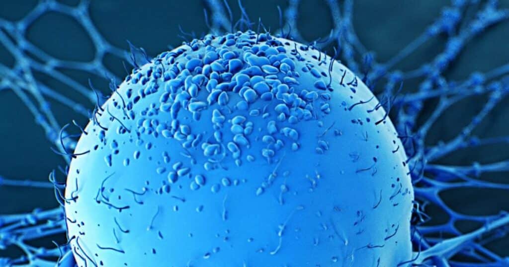 Cancer research Archives - PacBio