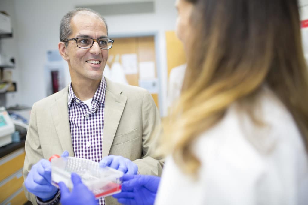 RNA Sequencing SMRT Grant Winner to Help Hone New Therapeutic Strategy ...