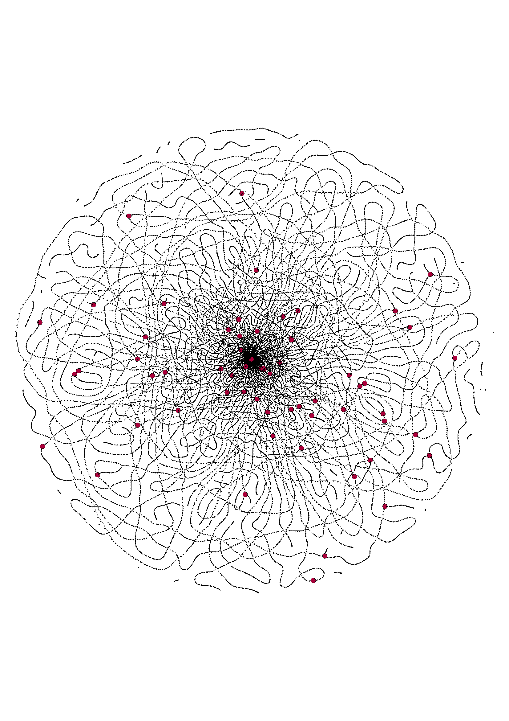 Direct Phased Genome Assembly Using Nighthawk on HiFi Reads - PacBio