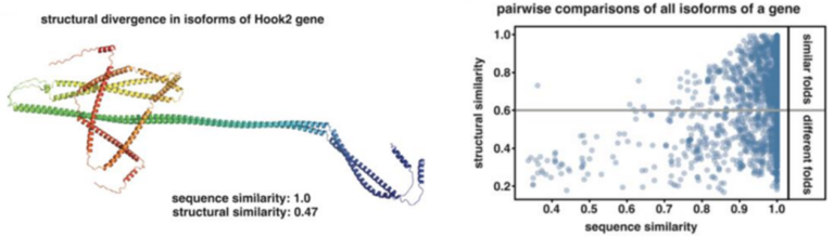 A HiFi movement: Transcript isoform resolved RNA sequencing - PacBio