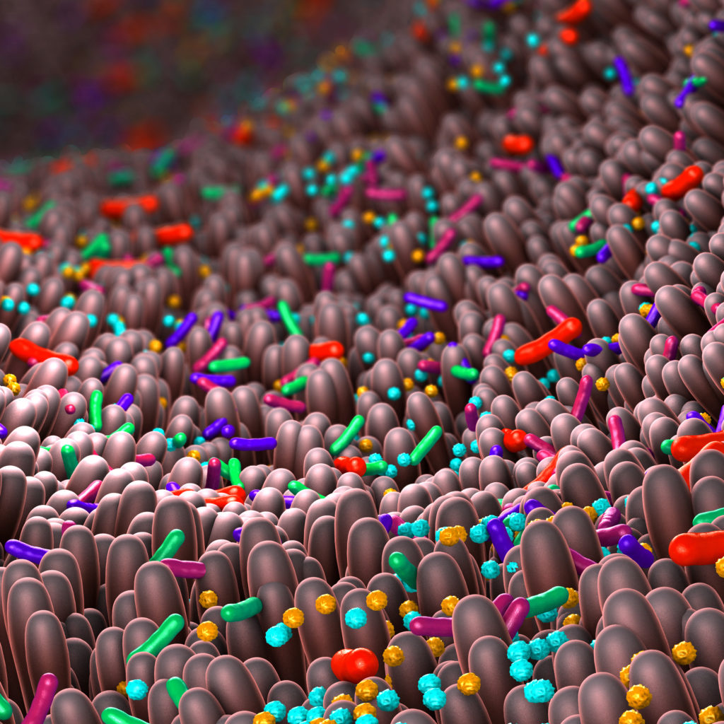 Cost-effective microbiome and metagenomic HiFi sequencing with PacBio ...