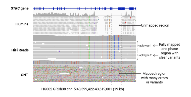 Sequencing 101: understanding accuracy in DNA sequencing - PacBio