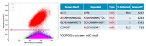 Prokaryotic Methylation Detection on the Sequel II System - PacBio