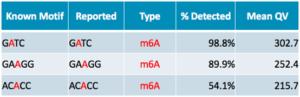 Prokaryotic Methylation Detection on the Sequel II System - PacBio