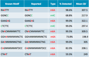 Prokaryotic Methylation Detection on the Sequel II System - PacBio