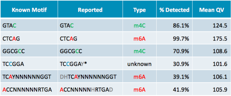 Prokaryotic Methylation Detection on the Sequel II System - PacBio