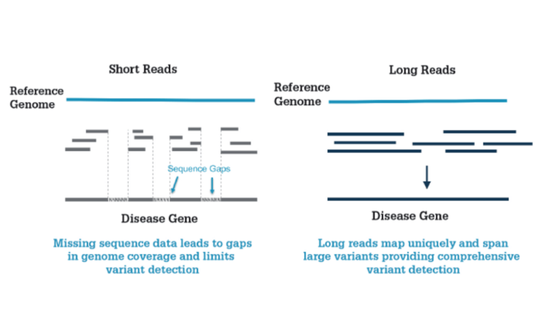 long-read-sequencing-rare-diseases - PacBio