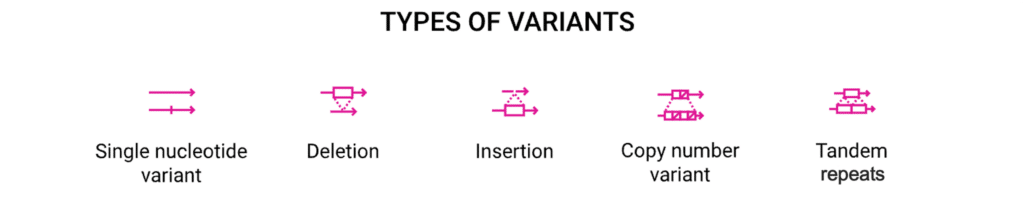 What are genomic variants and why do they matter? - PacBio